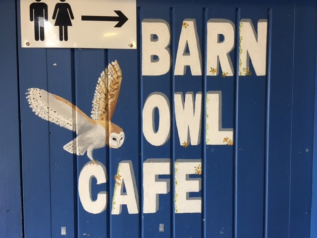 Barn Owl Café will be closed next 4 Fridays | Deen City Farm