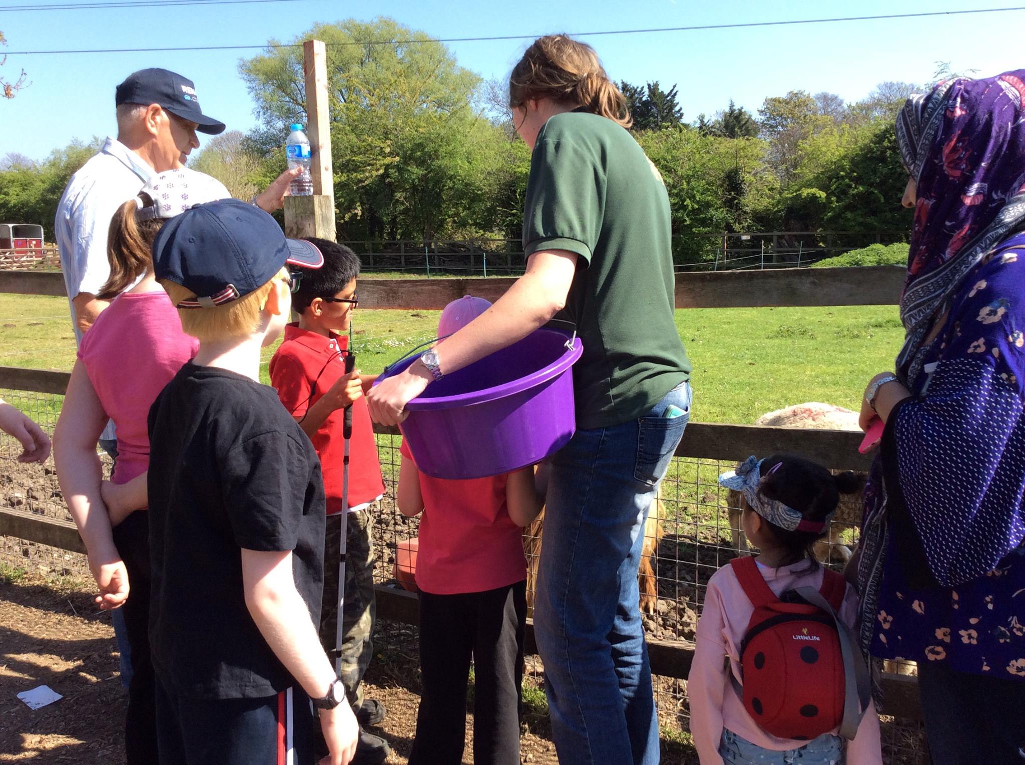 Job Opportunity: Education & Outreach Manager | Deen City Farm
